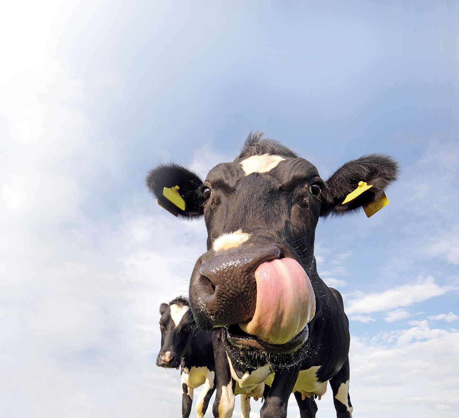 Home - Enerpro Feeds