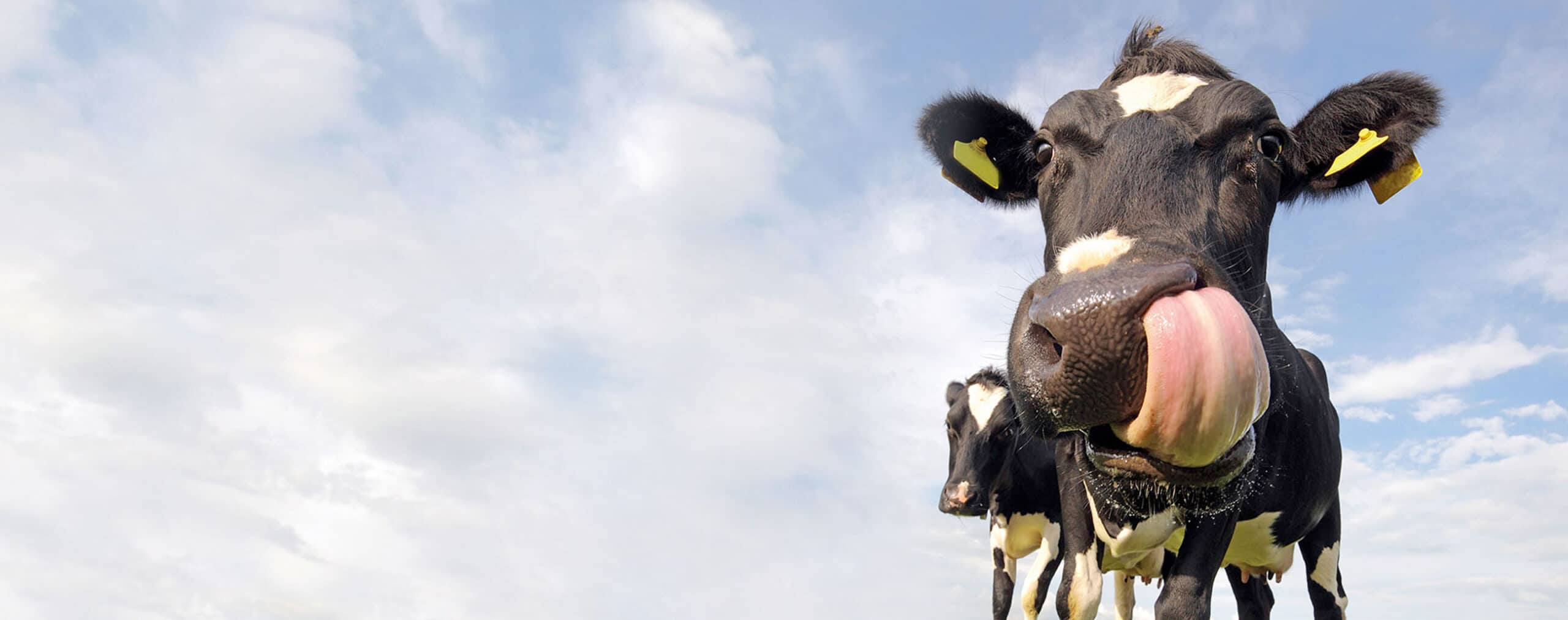 Home - Enerpro Feeds